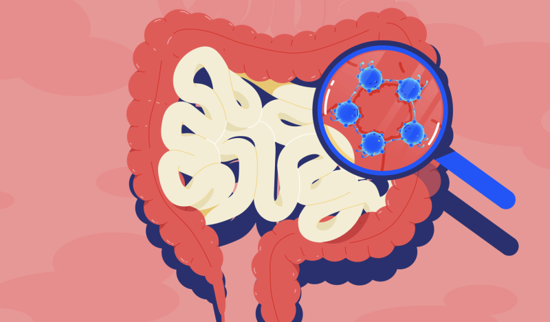 Nourish your Gut: Happy Foods for a Happy Microbiome - Healthwatch by Shyft